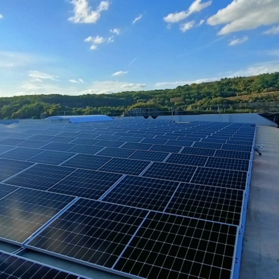 Comment bien choisir ses panneaux photovoltaïques ? - Reno.energy